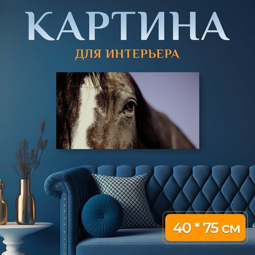 Картина на холсте "Лошадь, глаз, голова" на подрамнике 75х40 см. для интерьера