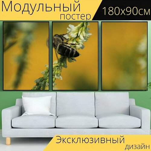 Модульный постер "Пчела, цвести, насекомое" 180 x 90 см. для интерьера