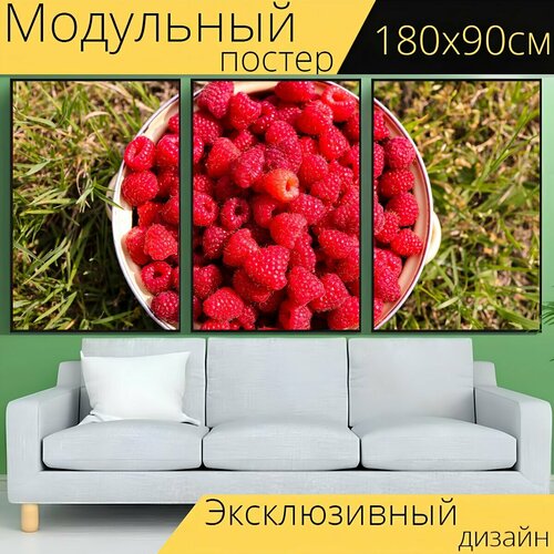 Модульный постер "Малина, фрукты, еда" 180 x 90 см. для интерьера