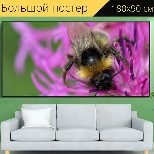 Большой постер "Шмель, пчела, насекомое" 180 x 90 см. для интерьера