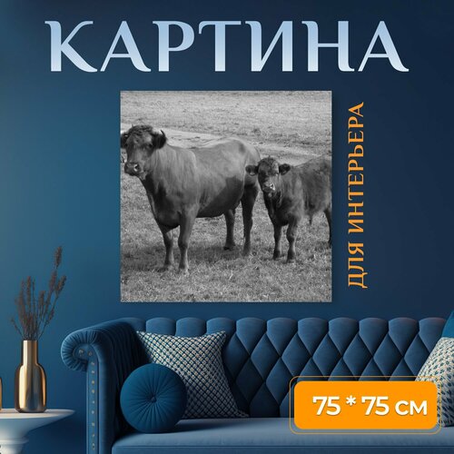 Картина на холсте "Коровы, бык, жвачный" на подрамнике 75х75 см. для интерьера