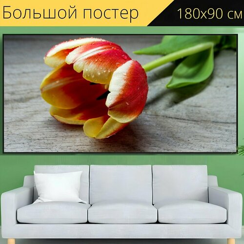 Большой постер "Тюльпан, цветок, завод" 180 x 90 см. для интерьера