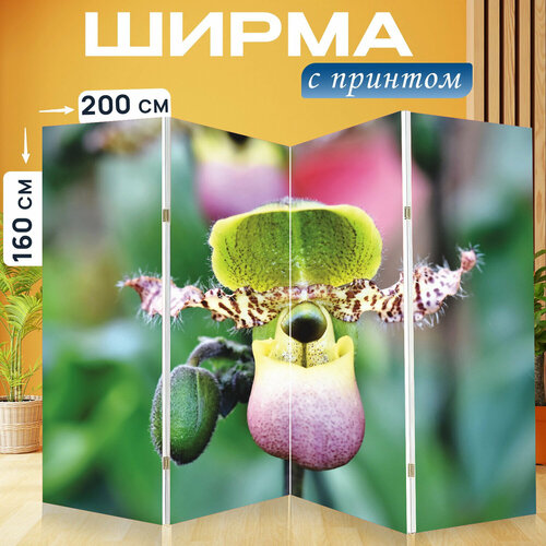Ширма перегородка с принтом "Орхидеи, орхидея цветок, цвести" на холсте - 200x160 см. для зонирования, раскладная