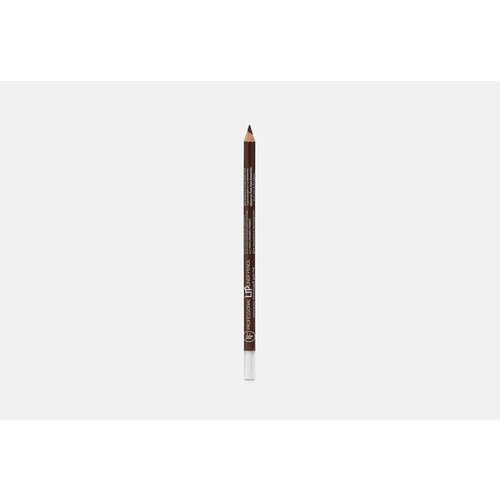 Карандаш для губ TF COSMETICS LIPLINER PENCIL цвет: 21 / 1.7 г