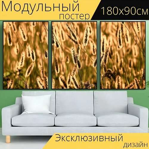 Модульный постер "Лисий хвост, травы, солнечный свет" 180 x 90 см. для интерьера