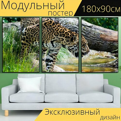 Модульный постер "Ягуар, большой кот, дикое животное" 180 x 90 см. для интерьера