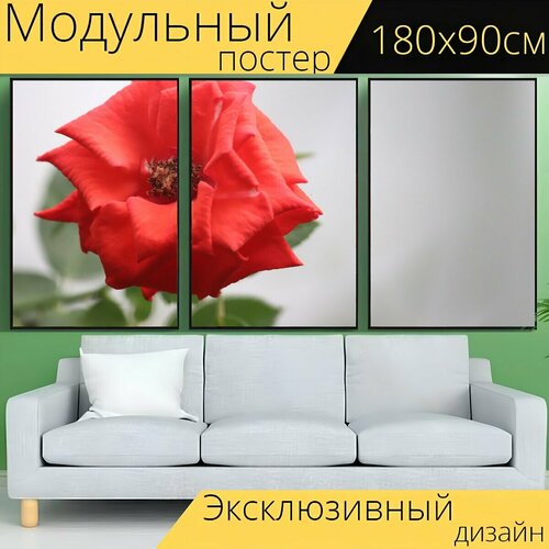 Модульный постер "Цветок, роза, красный" 180 x 90 см. для интерьера