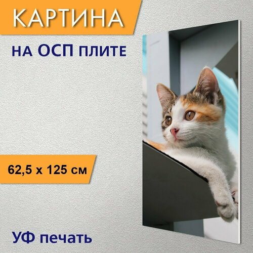 Вертикальная картина на ОСП "Кошка, бездомная кошка, кот" 62x125 см. для интерьериа