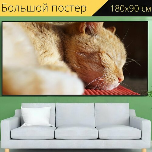 Большой постер "Кот, спит, красноватый" 180 x 90 см. для интерьера
