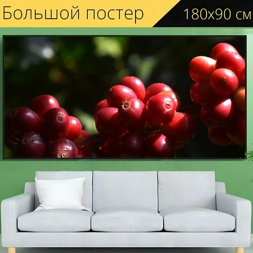 Большой постер "Кофе, фрукты, красный" 180 x 90 см. для интерьера