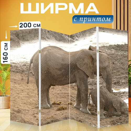 Ширма перегородка с принтом "Африка, слоны, сафари" на холсте - 200x160 см. для зонирования, раскладная