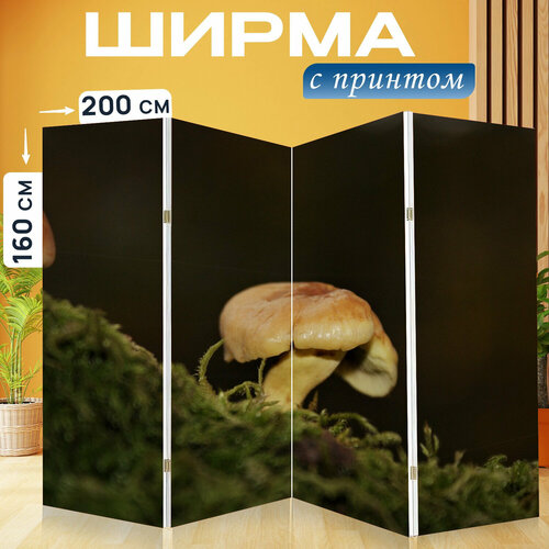 Ширма перегородка с принтом "Грибы, мох, лесные грибы" на холсте - 200x160 см. для зонирования, раскладная