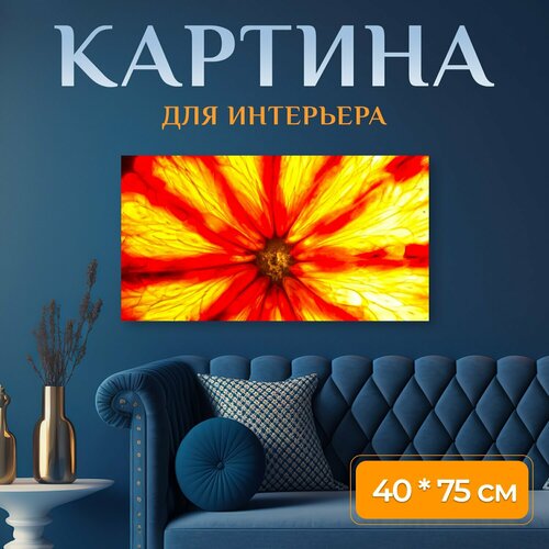 Картина на холсте "Апельсин, королек, диск" на подрамнике 75х40 см. для интерьера