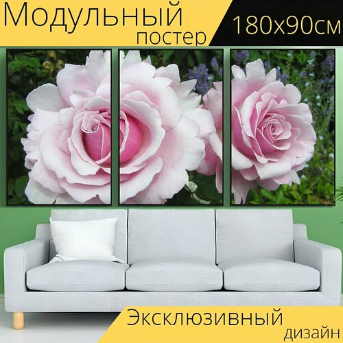 Модульный постер "Розы, розовый, ароматный" 180 x 90 см. для интерьера