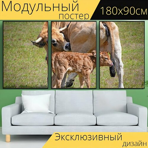 Модульный постер "Корова, теленок, обрак" 180 x 90 см. для интерьера