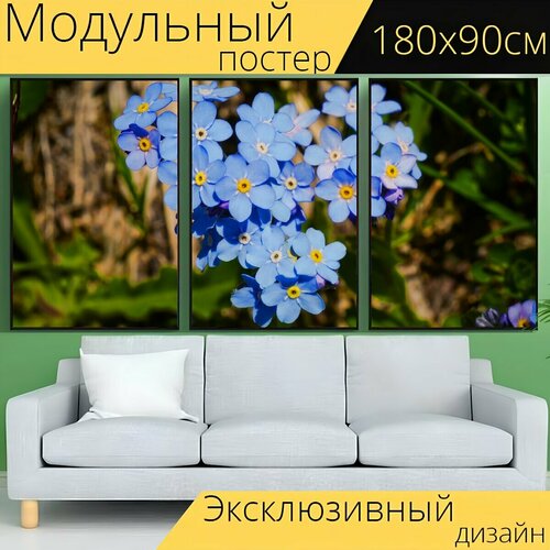 Модульный постер "Цветок, синий, природа" 180 x 90 см. для интерьера