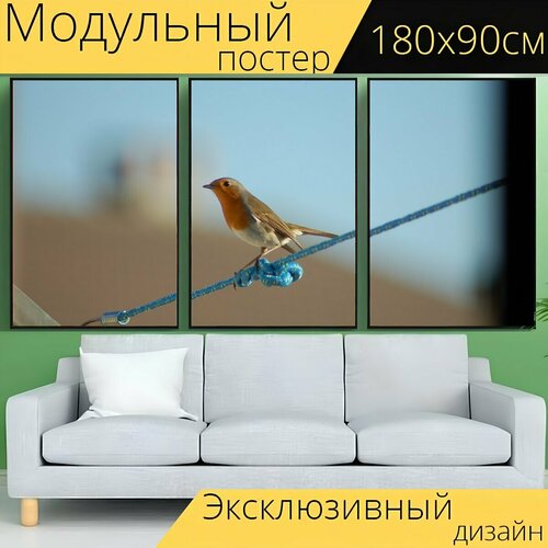Модульный постер "Робин, птичка, птица" 180 x 90 см. для интерьера