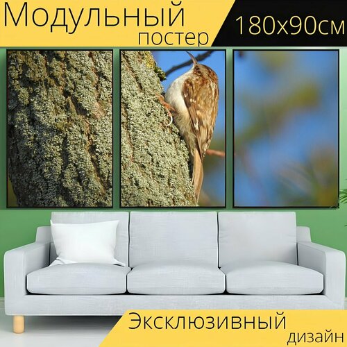 Модульный постер "Птицы, на дереве, лес" 180 x 90 см. для интерьера