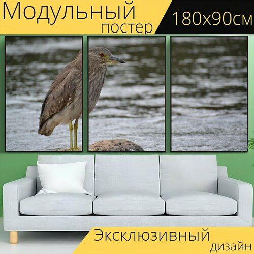 Модульный постер "Птичка, река, камень" 180 x 90 см. для интерьера