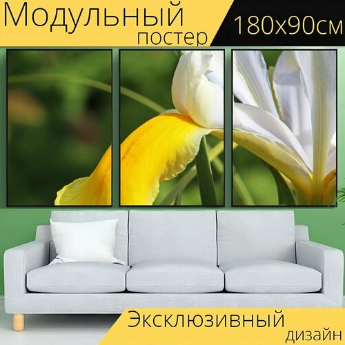 Модульный постер "Лили, цвести, весна" 180 x 90 см. для интерьера