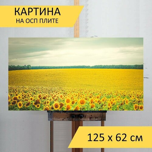 Картина на ОСП 125х62 см. "Подсолнух, цветы, желтый" горизонтальная, для интерьера, с креплениями