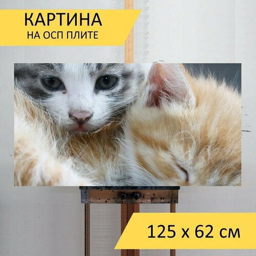 Картина на ОСП 125х62 см. "Кошка, котенок, бездомная кошка" горизонтальная, для интерьера, с креплениями