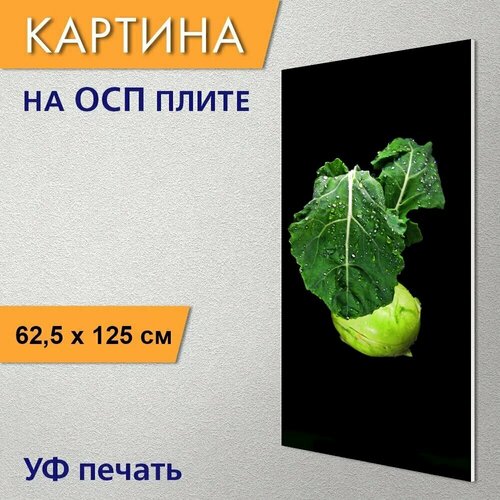 Вертикальная картина на ОСП "Еда, овощи, кольраби" 62x125 см. для интерьериа