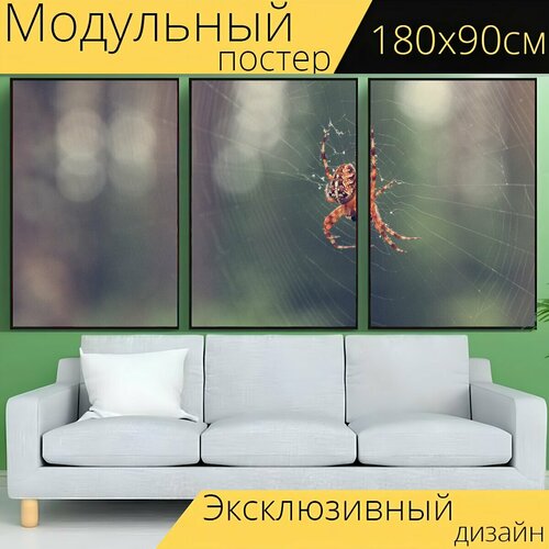 Модульный постер "Осень, лес, паук" 180 x 90 см. для интерьера