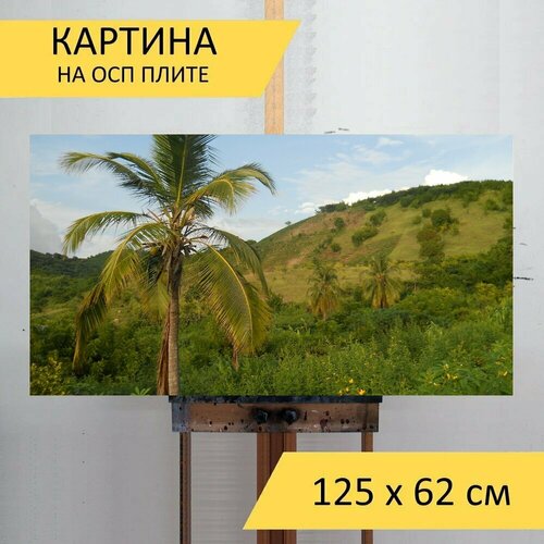 Картина на ОСП 125х62 см. "Гаити, пейзаж, горы" горизонтальная, для интерьера, с креплениями
