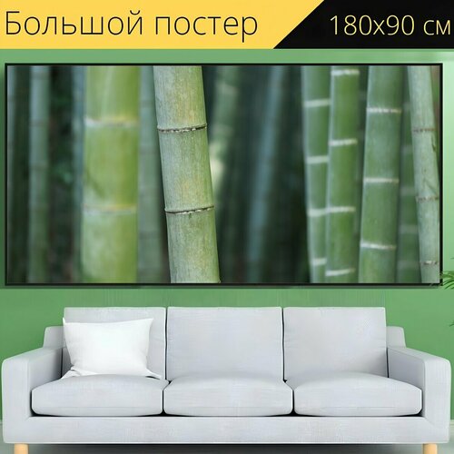 Большой постер "Бамбук, лес, сундуки" 180 x 90 см. для интерьера