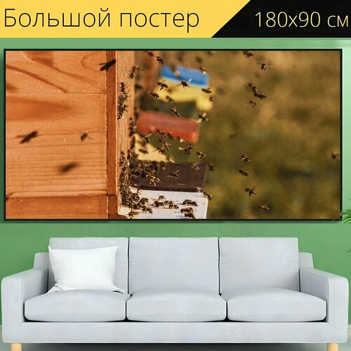 Большой постер "Пчелосемьи, пчелы, улей" 180 x 90 см. для интерьера