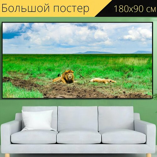 Большой постер "Лев, животное, танзания" 180 x 90 см. для интерьера