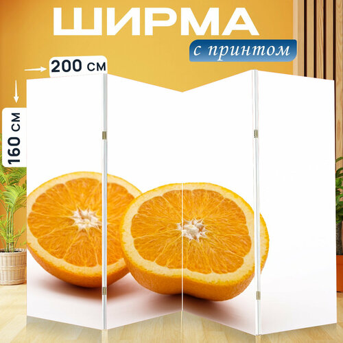 Ширма перегородка с принтом "Апельсин, фрукты, цитрусовый фрукт" на холсте - 200x160 см. для зонирования, раскладная