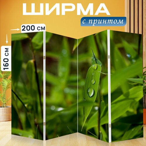Ширма перегородка с принтом "Растения, бамбук, листья бамбука" на холсте - 200x160 см. для зонирования, раскладная
