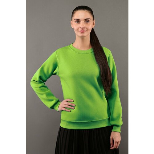 Свитшот Магазин Толстовок, размер M-42-44-Woman-(Женский), зеленый