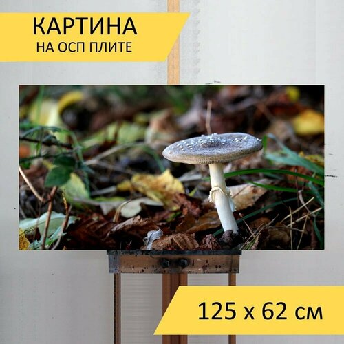 Картина на ОСП 125х62 см. "Гриб, лесные грибы, падение" горизонтальная, для интерьера, с креплениями