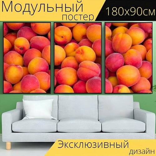 Модульный постер "Еда, напиток, фрукты" 180 x 90 см. для интерьера