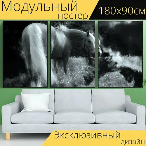 Модульный постер "Лошадь, животное, природа" 180 x 90 см. для интерьера
