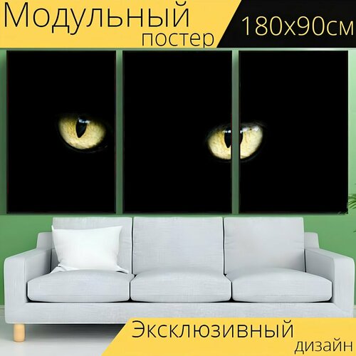 Модульный постер "Глаза, кошка, хэллоуин" 180 x 90 см. для интерьера