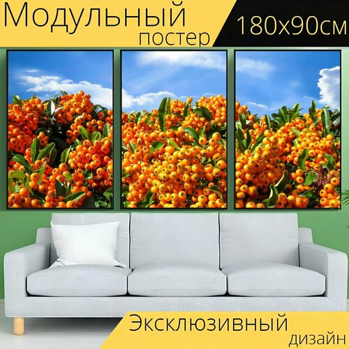 Модульный постер "Еда, природа, ягода" 180 x 90 см. для интерьера