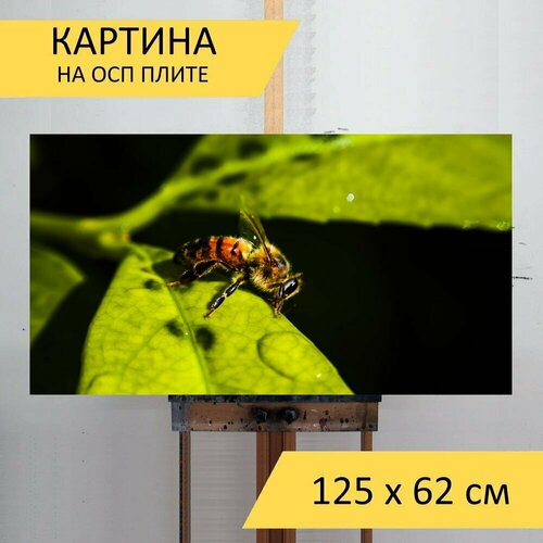 Картина на ОСП 125х62 см. "Пчела, медовый, насекомое" горизонтальная, для интерьера, с креплениями