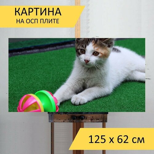 Картина на ОСП 125х62 см. "Кошка, бездомная кошка, кот" горизонтальная, для интерьера, с креплениями