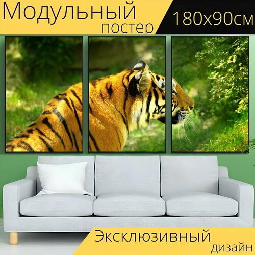 Модульный постер "Живая природа, млекопитающие, тигр" 180 x 90 см. для интерьера