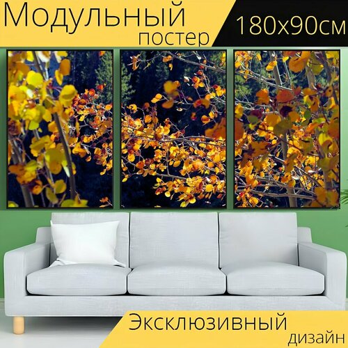 Модульный постер "Каньон осенью листва, осень, осина" 180 x 90 см. для интерьера