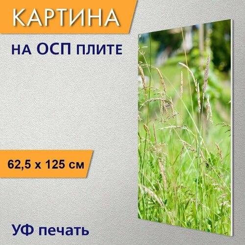 Вертикальная картина на ОСП "Природа, луг, трава" 62x125 см. для интерьериа