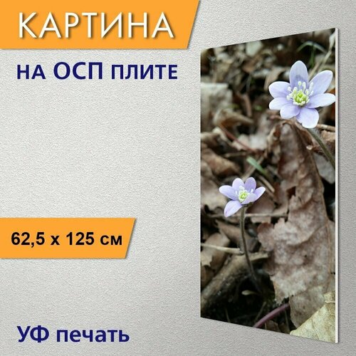 Вертикальная картина на ОСП "Цветок, весна, природа" 62x125 см. для интерьериа