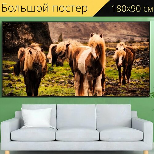 Большой постер "Исландия, лошади, пони" 180 x 90 см. для интерьера