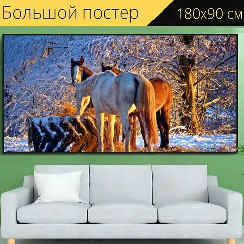 Большой постер "Зима, лошадь, плесень" 180 x 90 см. для интерьера
