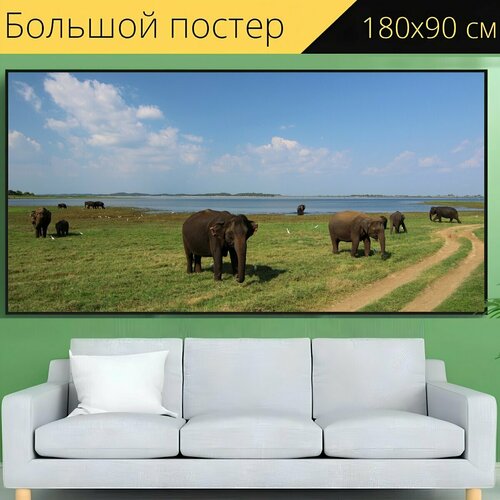 Большой постер "Шри ланка, слоны, слоненок" 180 x 90 см. для интерьера