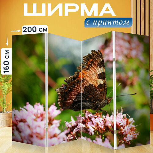 Ширма перегородка с принтом "Бабочка, насекомое, цвести" на холсте - 200x160 см. для зонирования, раскладная